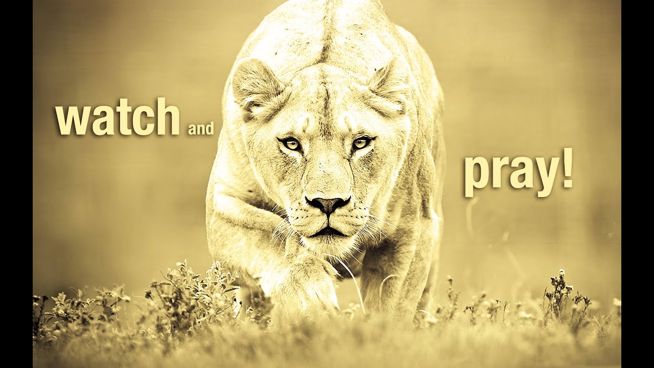 Watch and Pray (Dann Green on Matthew 26:41) - YouTube