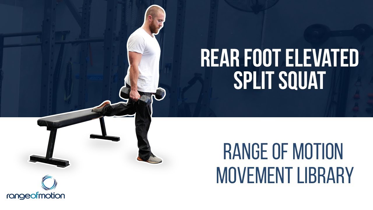 Rear foot elevated split squat - YouTube