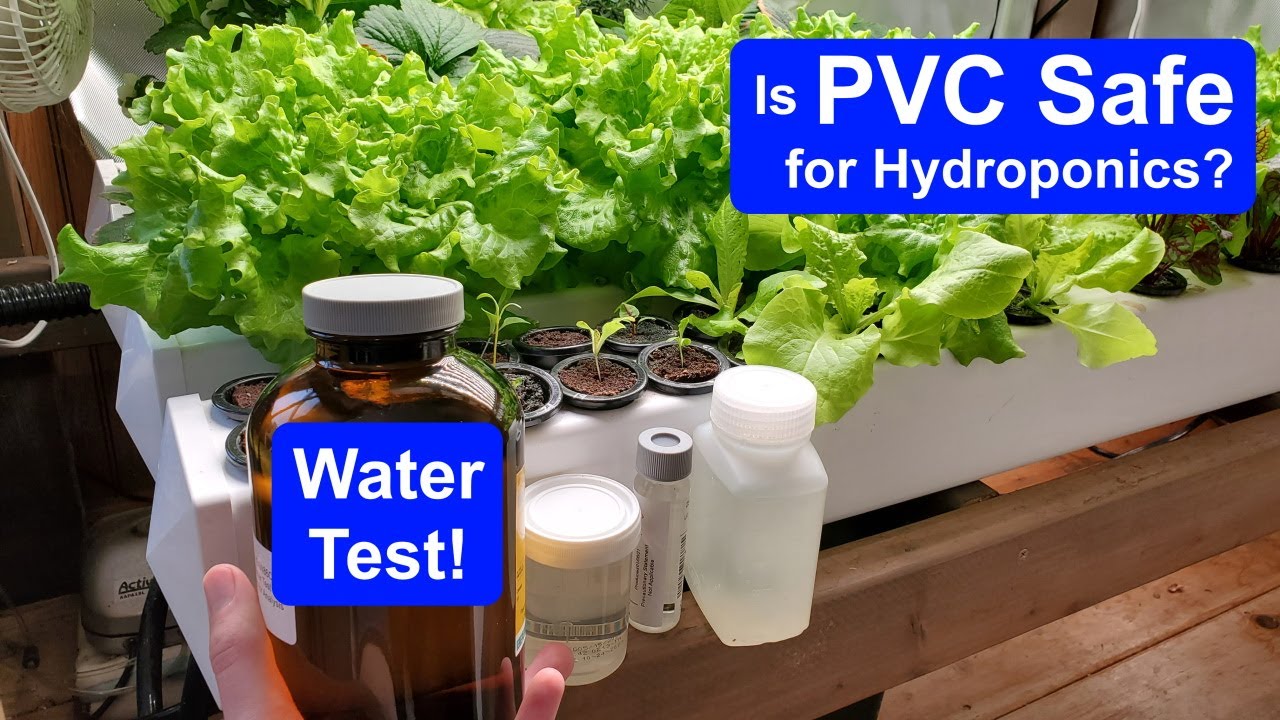 Is PVC Safe for Hydroponics? Water Test Results! - YouTube