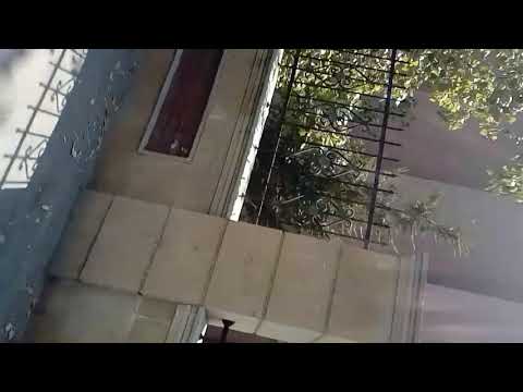 Velosipet sürürük 2