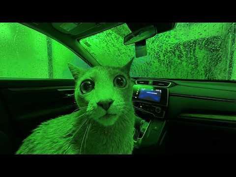 COMPILATION OF UNUSUAL MEMES V09