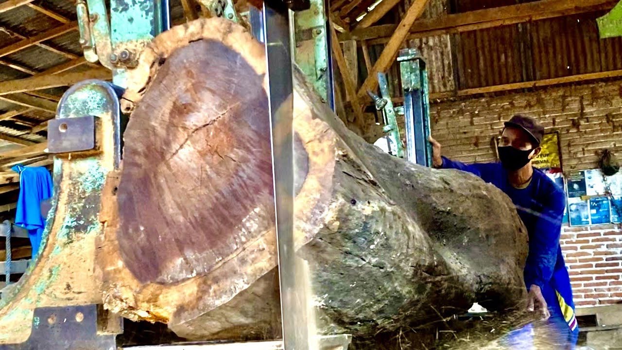 Wujud kayu sono kembang sangat istimewa untuk membuat papan lebih ...