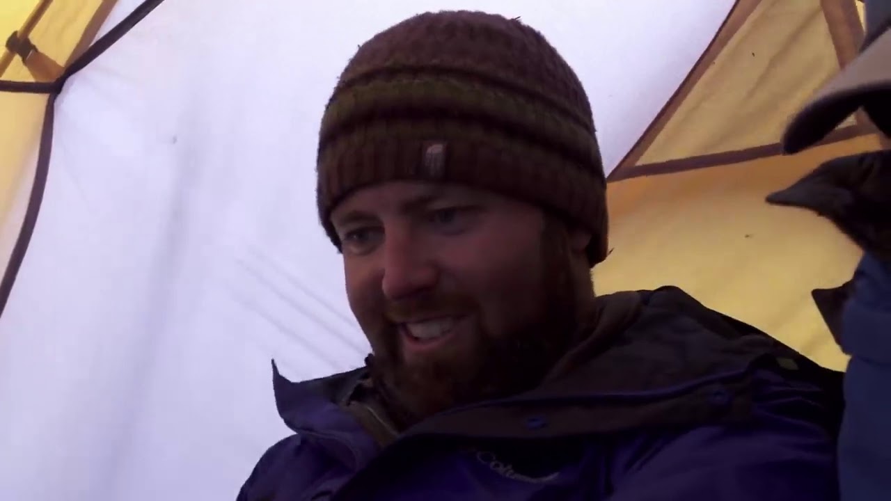 [BEST VN]Has Forrest Just Caught An 'Extinct' White Wolf On Camera ...