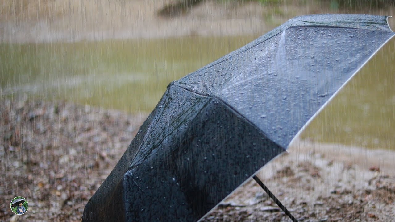 Rain on Umbrella Behind The Stream | 10 Hours White Noise Sound On ...