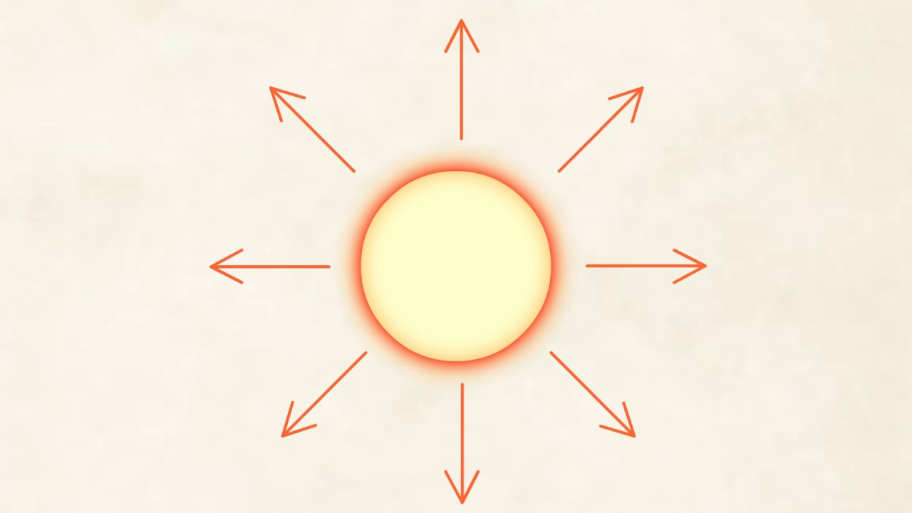 Mind Map Animation - YouTube