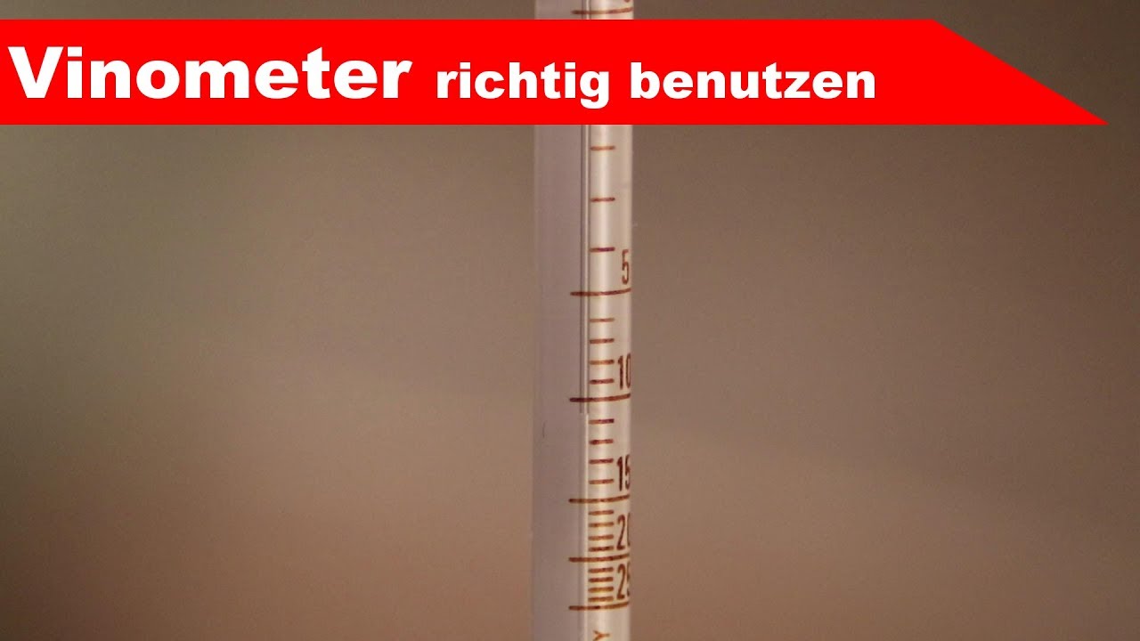 🍷 Vinometer 🍷 richtig verwenden - Gerätekunde Teil 1 - Fermentastisch ...
