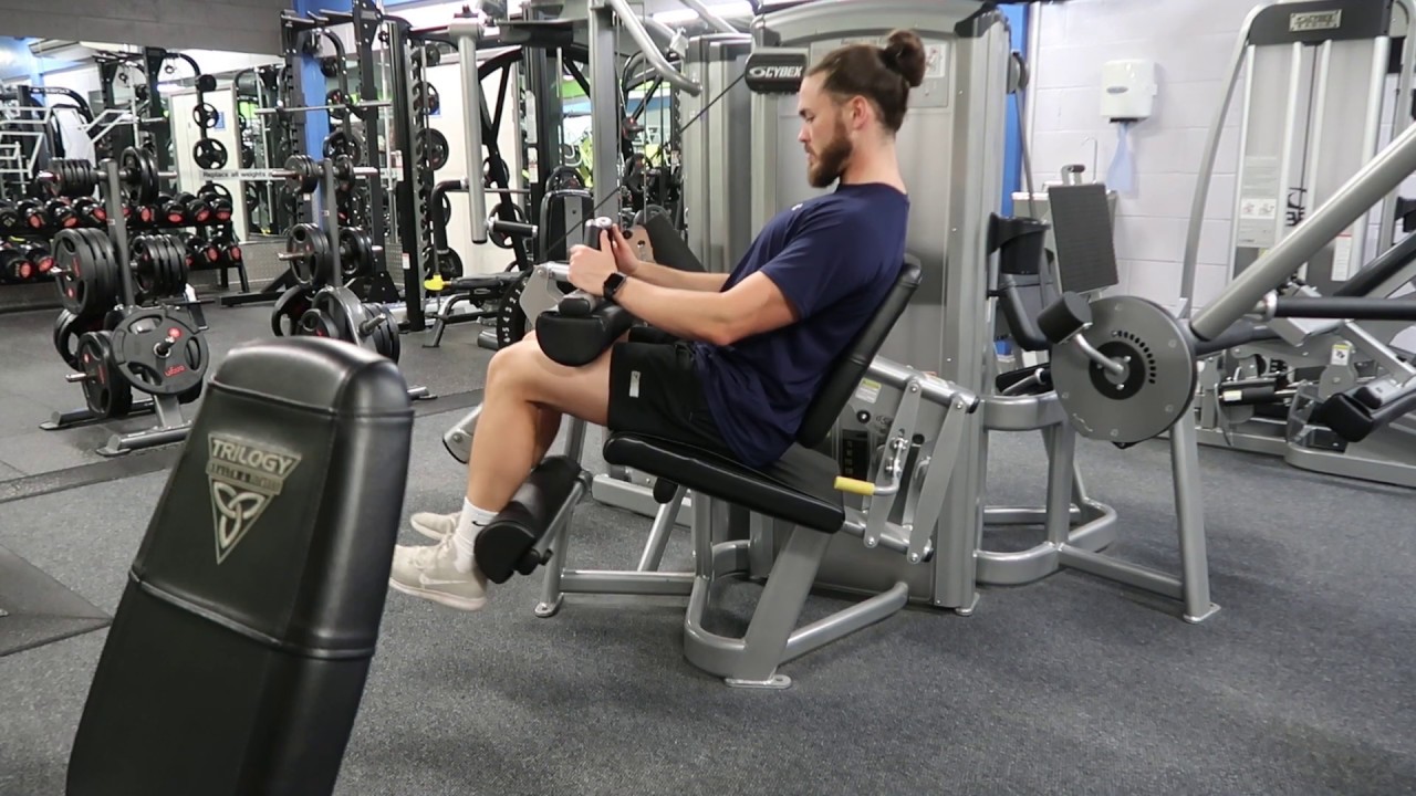 Seated Leg Curl (RAW) - Exercise Tutorial - YouTube