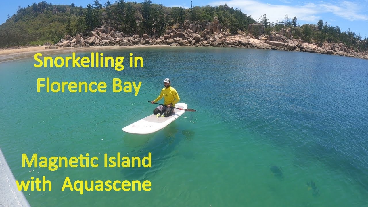 Magnetic island boat tour with Aquascene part 3 Florence Bay - YouTube
