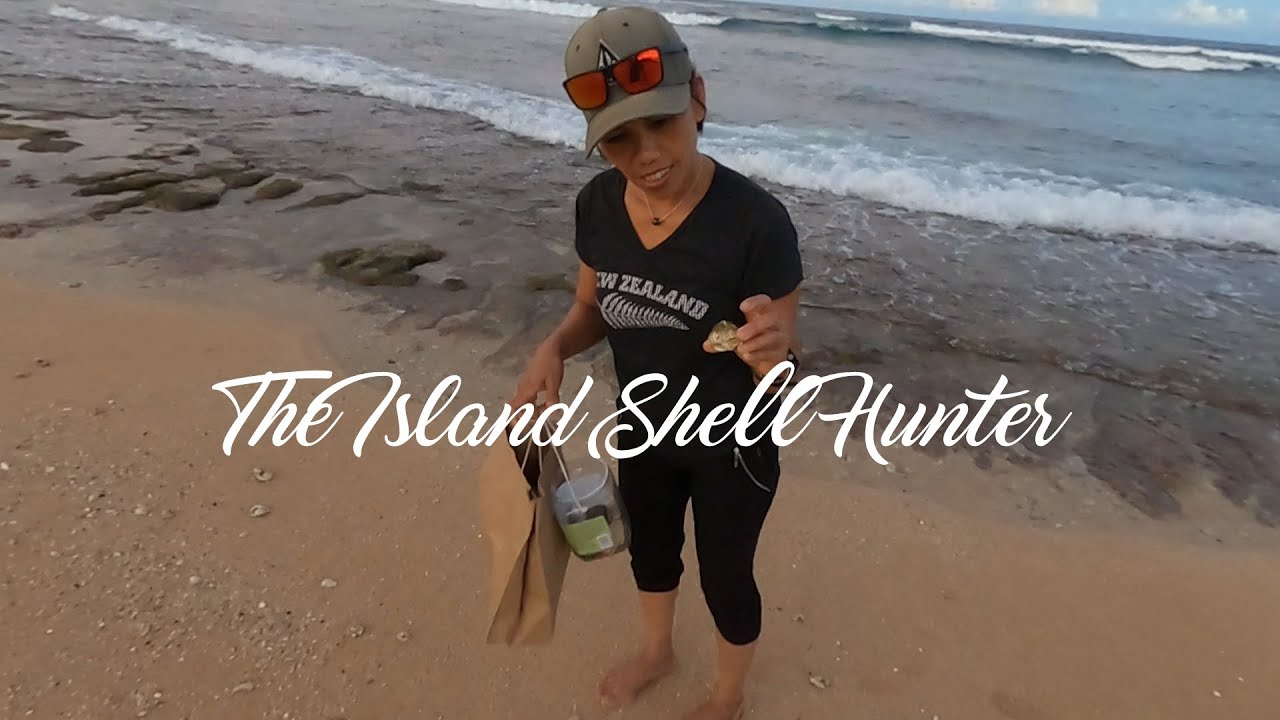 Shell Hunting on Kauai, Hawaii | What a creature | Island life vlog ...