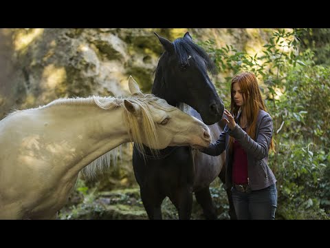 WINDSTORM 3 RITORNO ALLE ORIGINI - Clip - YouTube