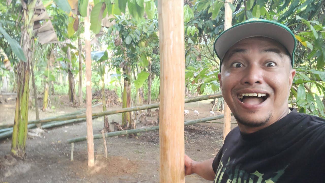 DAY 3 UPDATE/MINDORO - YouTube