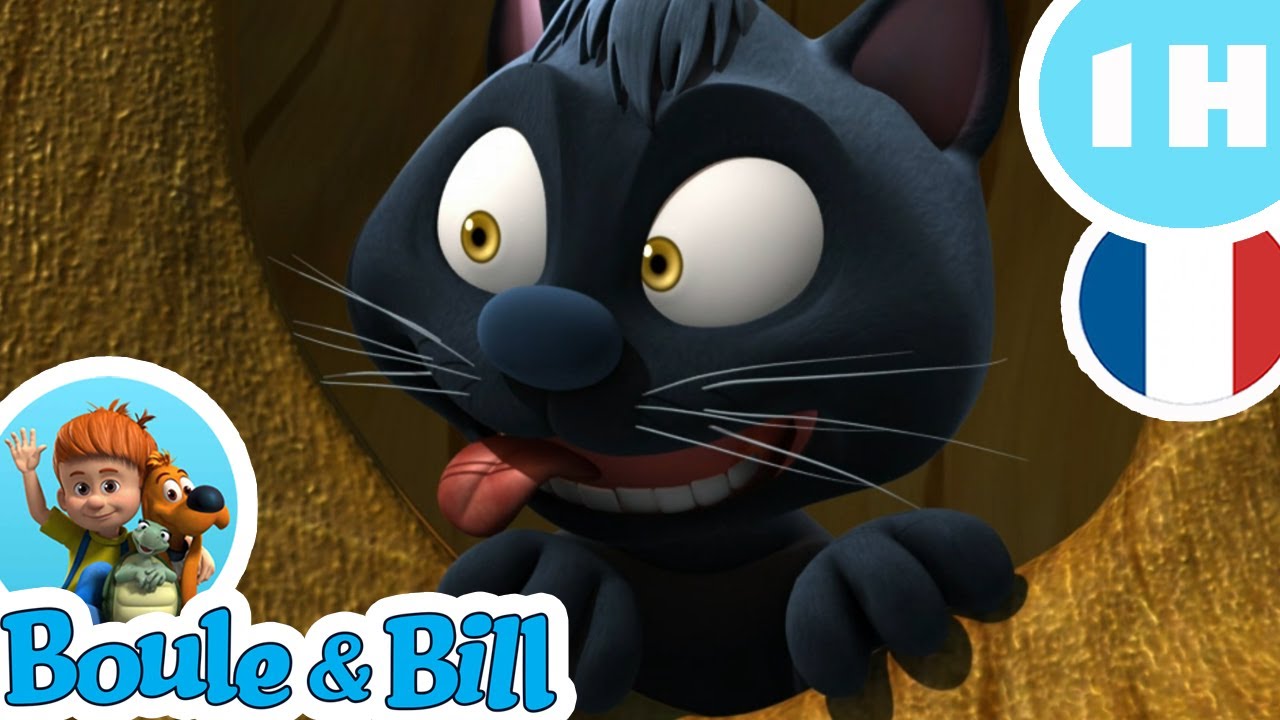 🐈‍⬛Boule, Bill et Caporal🐈‍⬛ - Nouvelle Compilation FR - YouTube