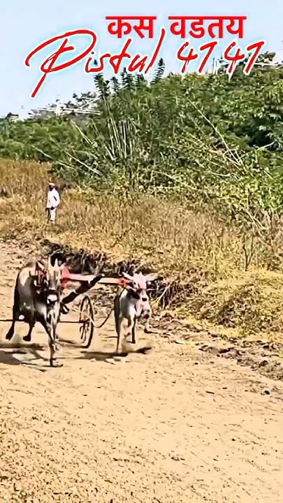कस वडतय🔥 Youtube