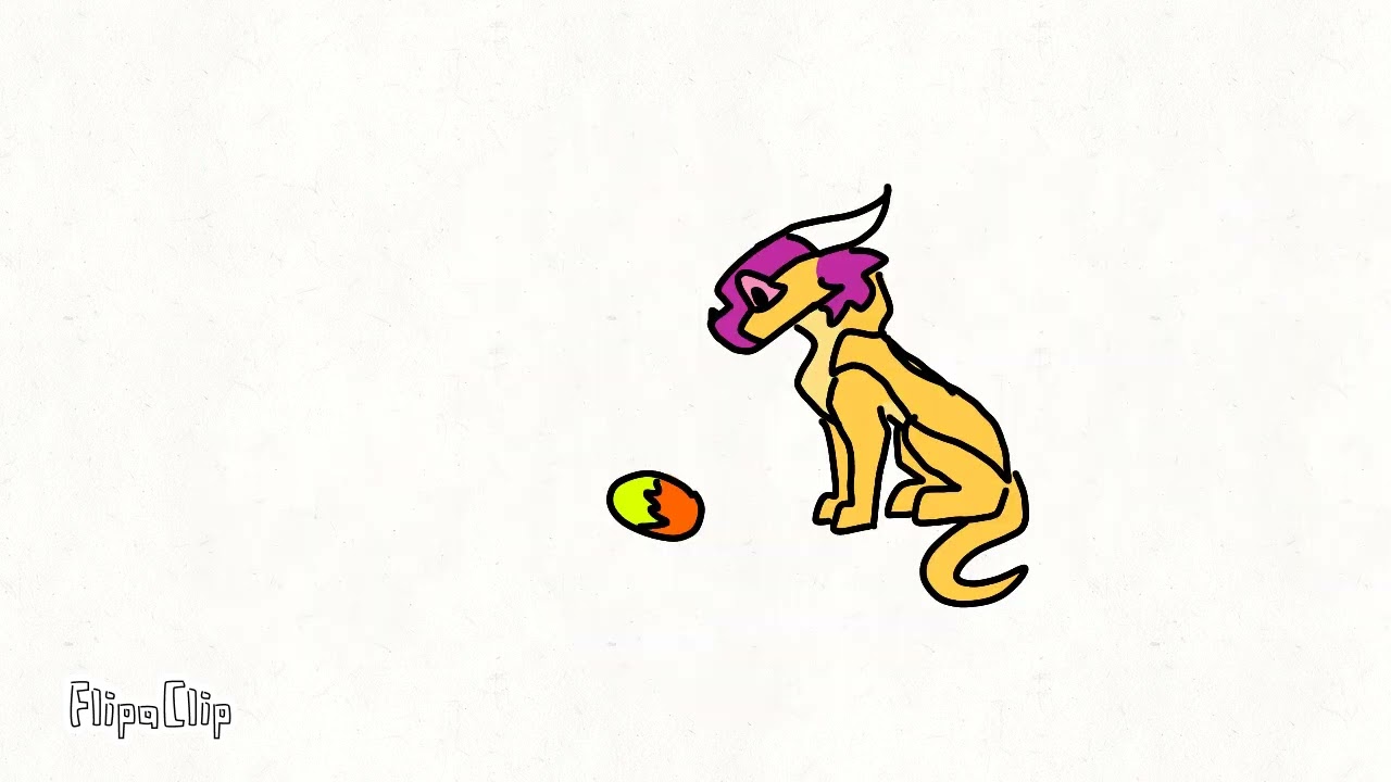 kinkajou after getting out of the nightwing island: - YouTube