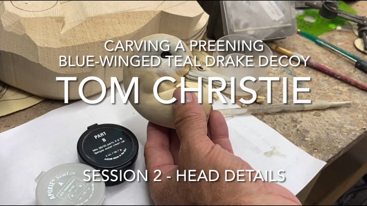 Preening Blue Winged Teal Drake Session 2 - Detailing The Head - YouTube