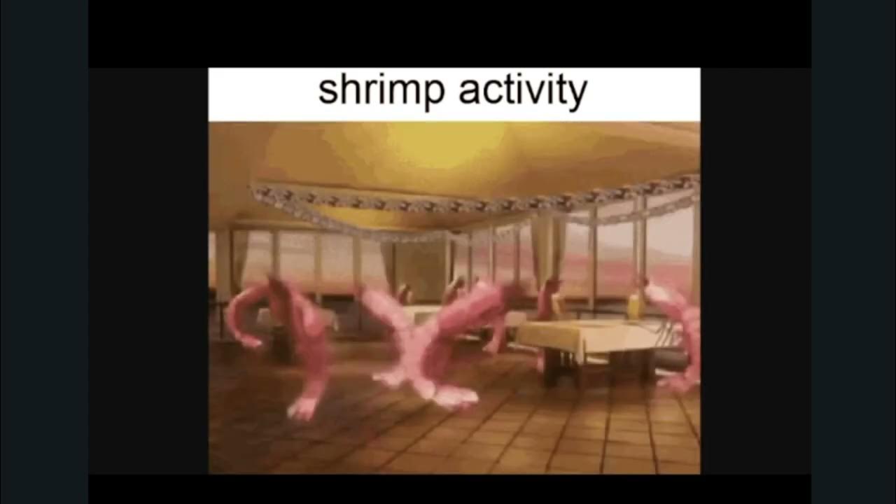 shrimp activity goes with every music - YouTube
