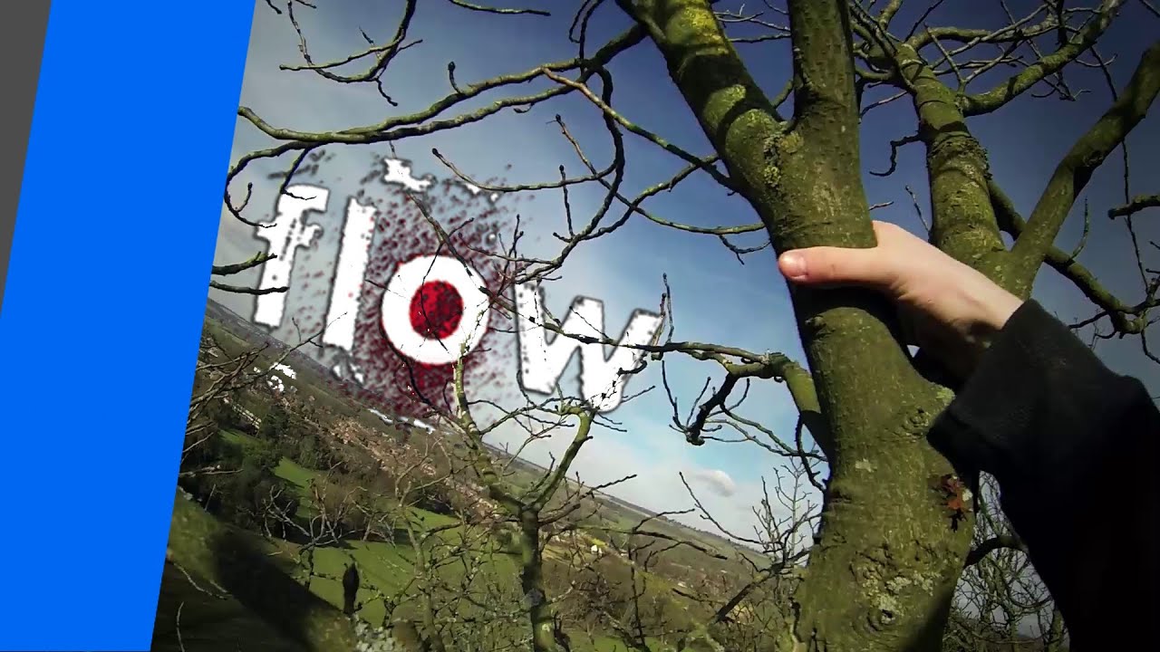 Extreme Heights - Parkour in Trees with Toby Segar - Flow POV (ep.4 ...