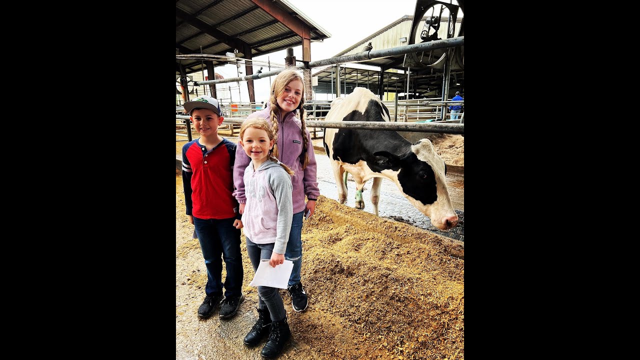 Dairy Farm Family Day! UF Dairy Unit - YouTube