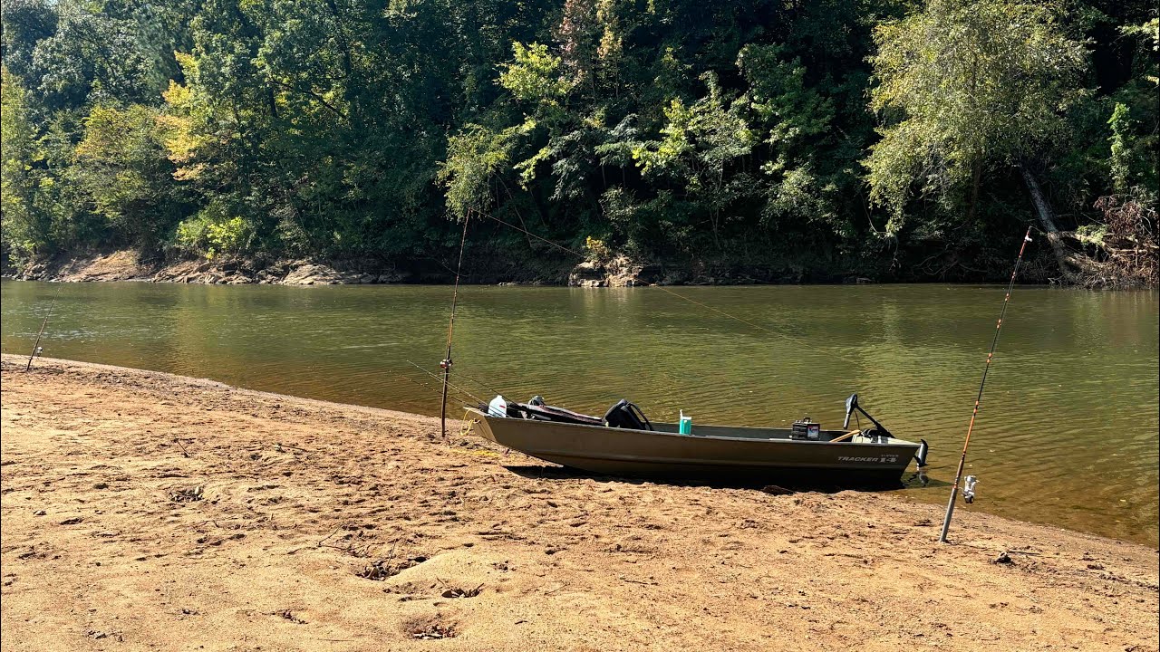 River float sandbar all nighter had a massive fish on - YouTube