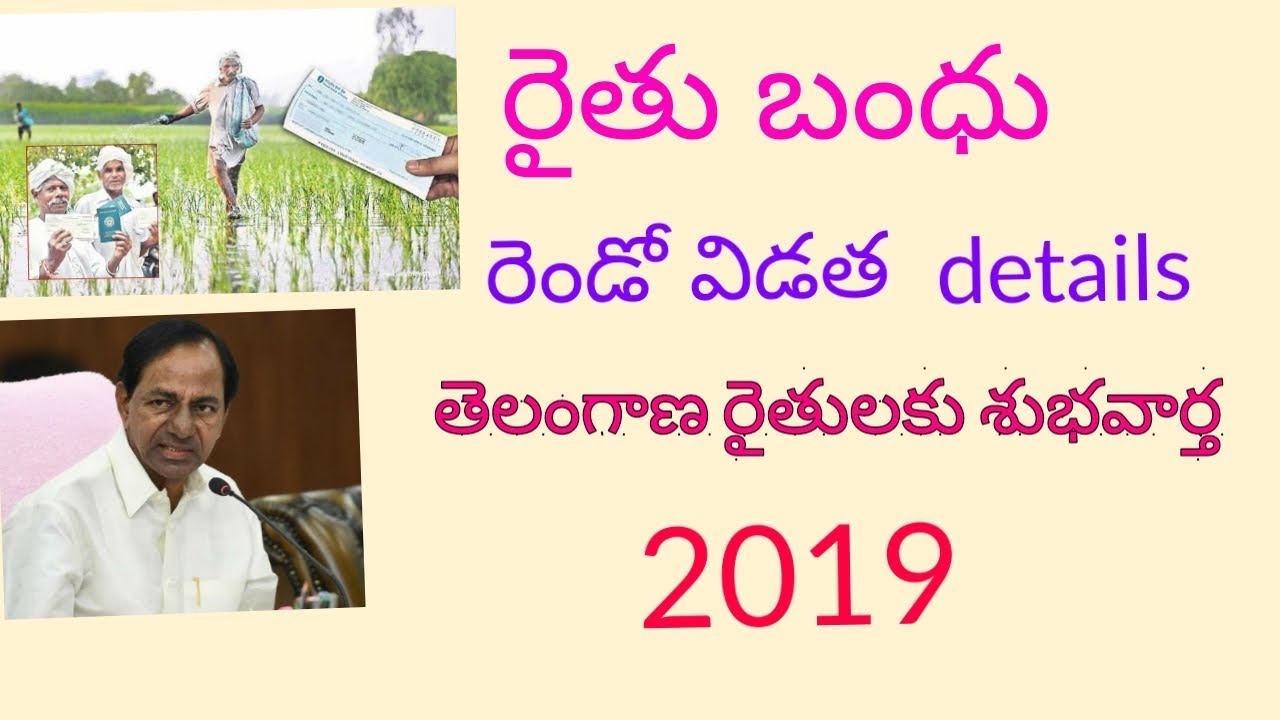 TS RAITHU BANDHU DETAILS 2019 || RAITHU BIMA 2019 || 2ND PHASE RAITHU ...