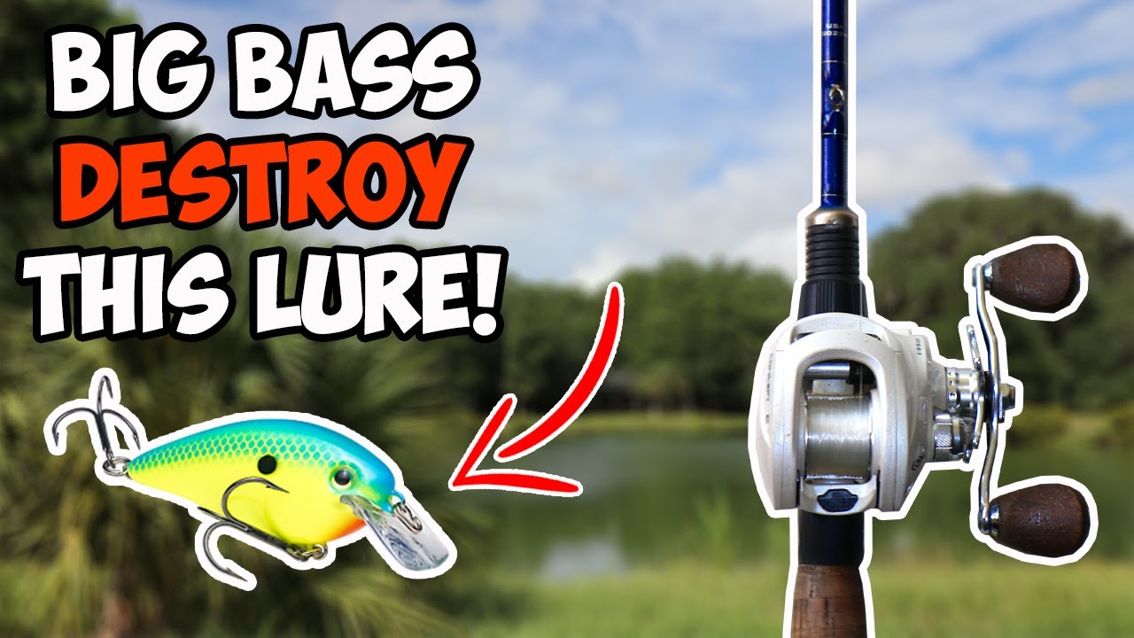 Catching FAT Bass in ULTRA Clear Water!!! | Crystal Clear Water Bass ...
