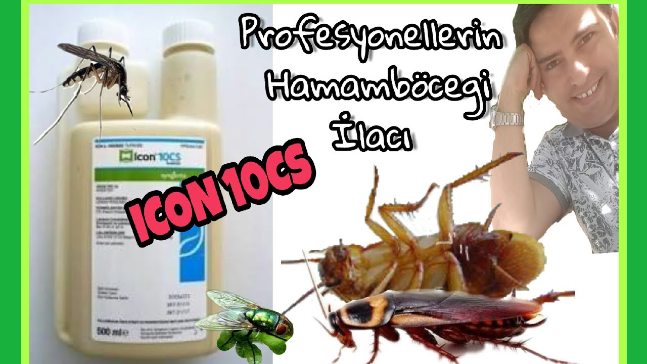 icon 10 cs 500 ml bug insecticide ICON 10 CS 500 ML BÖCEK İLACI YENİ ...