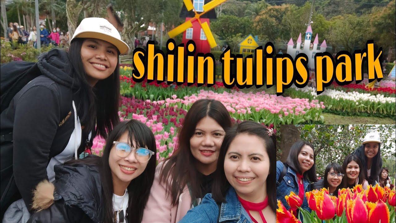 shilin park.. tulips flower park. Taipei Taiwan - YouTube