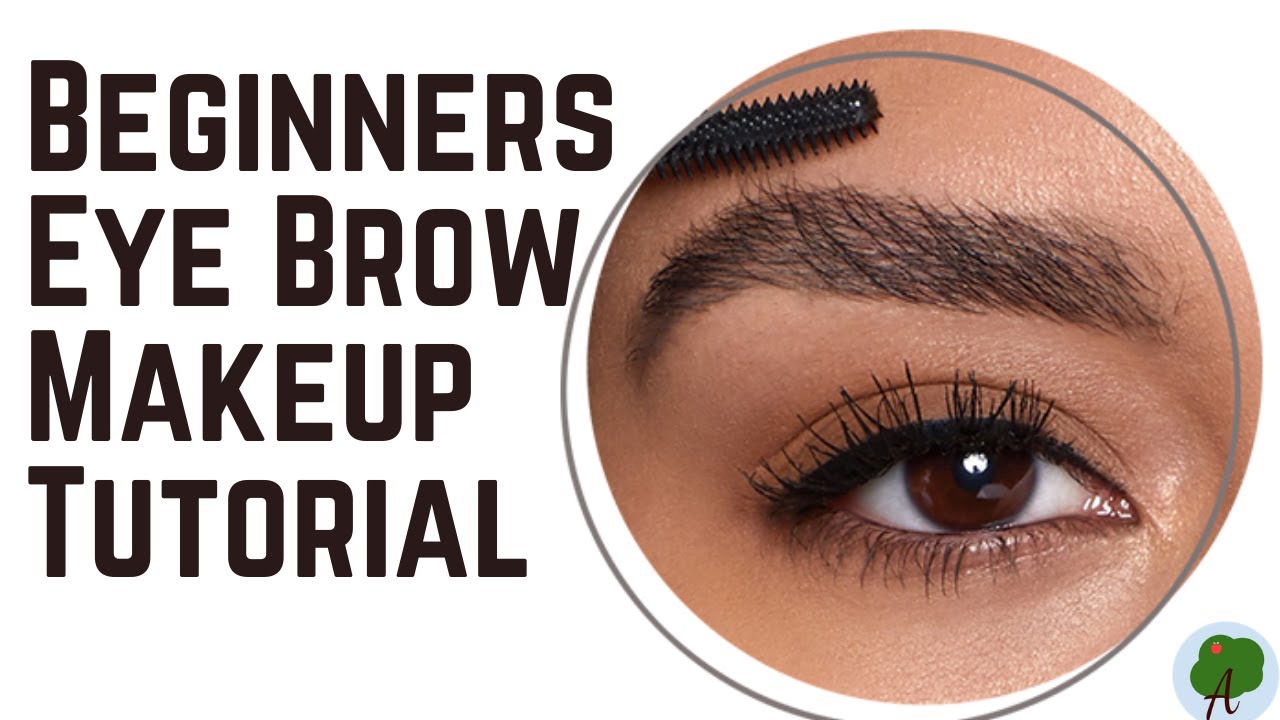 Beginners Eye Brow Makeup Tutorial Parts of the Eye Brow How To Fill In ...