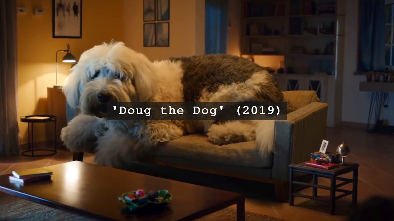 Giant Pet Old English Sheepdog [Advertisement] - YouTube