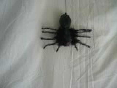 drop down spider 1 - YouTube