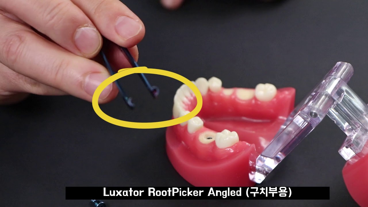 DIRECTA LUXATOR ROOTPICKER - YouTube