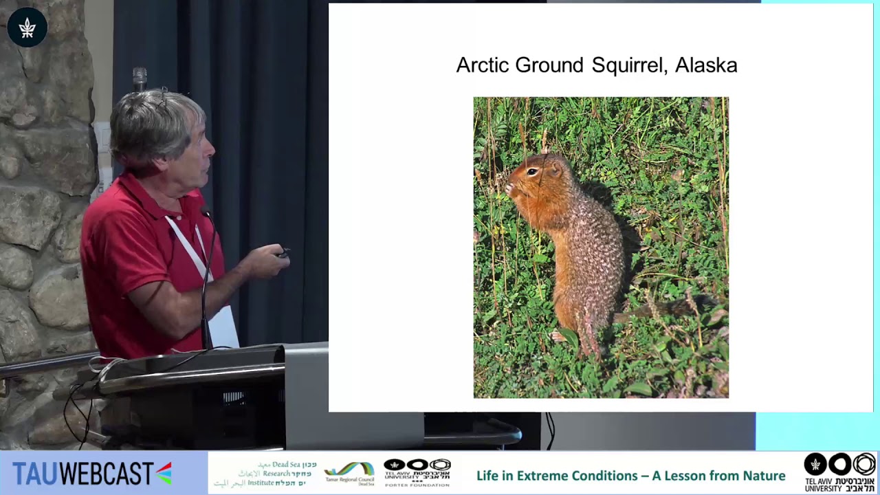 Diverse Functions of Torpor - YouTube