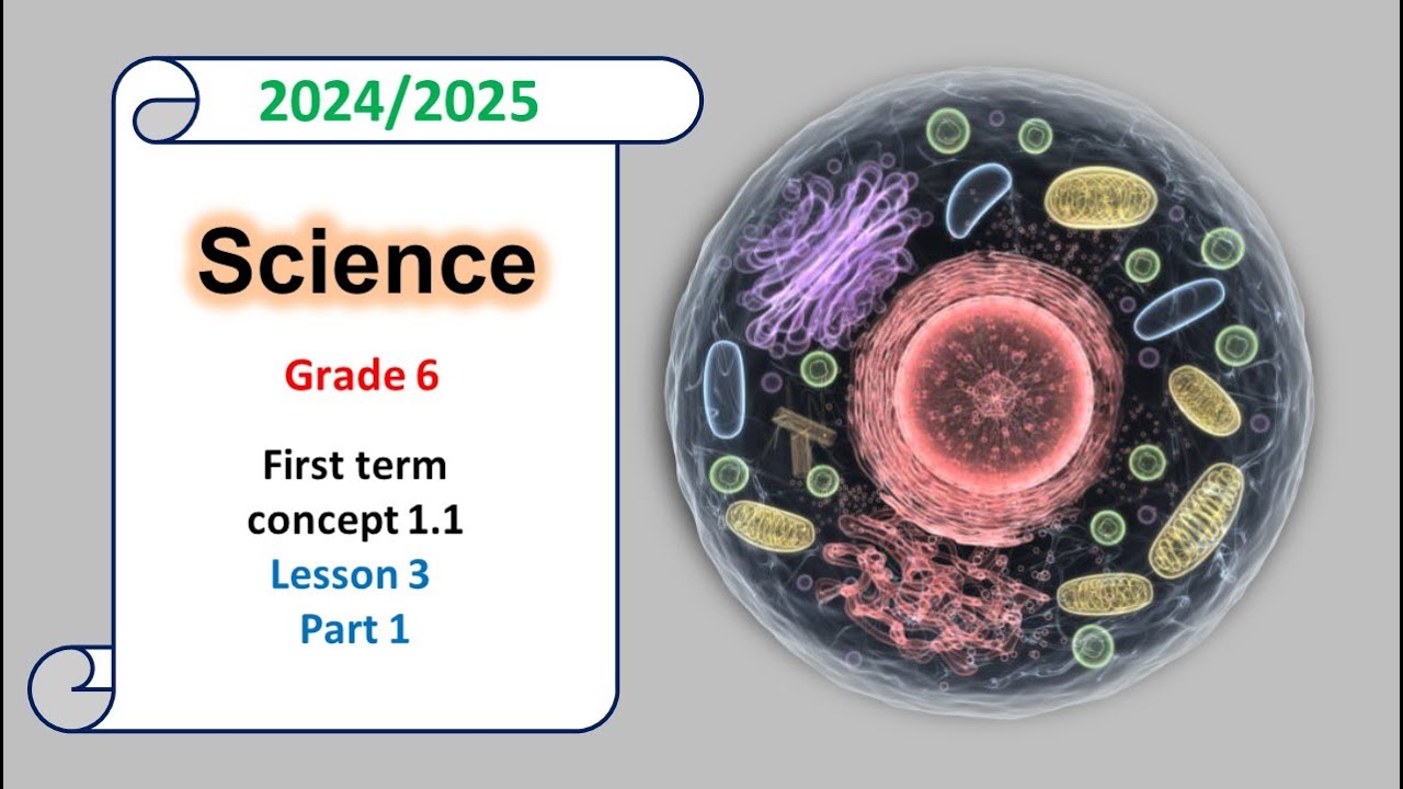 grade 6/ science / first term / concept 1.1 / lesson 3 (part1) - YouTube