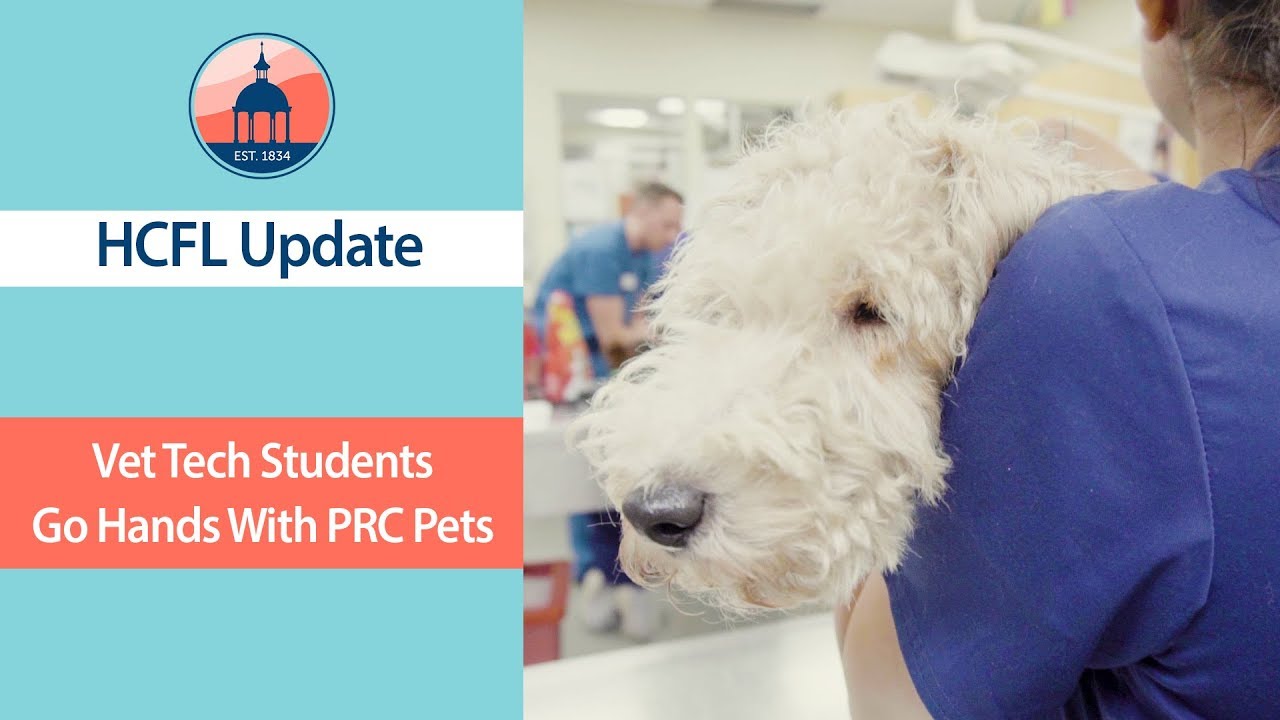 Vet Tech Students Go Hands On With PRC Pets - YouTube