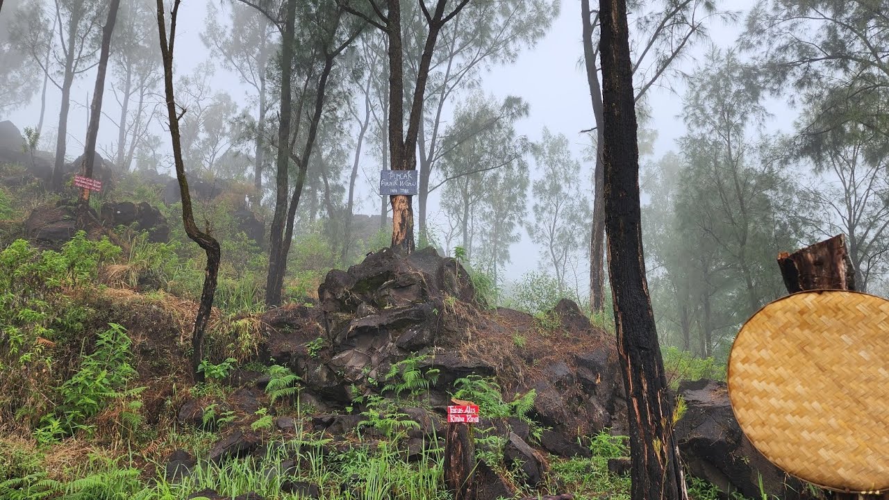 REVIEW PUTHUK KENTONGAN DAN PUTHUK WATU CLAKET #2 - YouTube