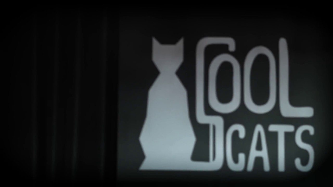 Cool Cats: Cats Only - YouTube