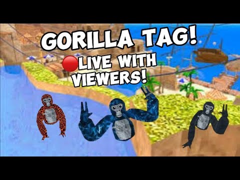 Gtag spring live with you! | Fan code on screen! - YouTube