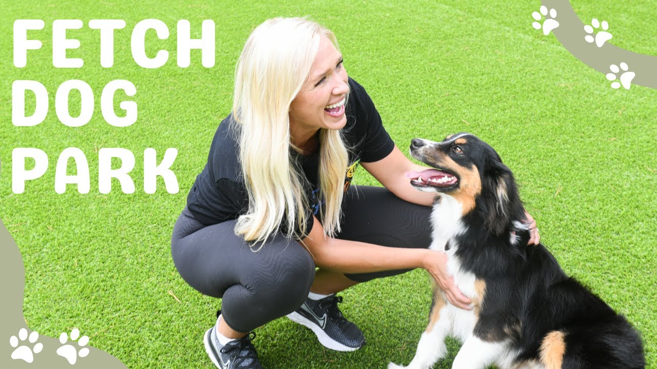 FETCH DOG PARK IS THE PLACE TO BE! - YouTube