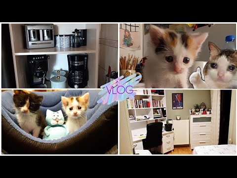 Ev tadilatı, oda turu, mutfak turu ve yeni evcil hayvanlarım #vlog