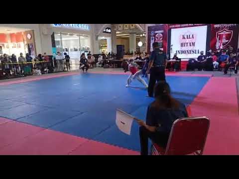 HAFIZH ALFIANDRA ENDANI : GRAND PRIX KYOKUSHIN JCM SLEMAN DIY Babak I - YouTube