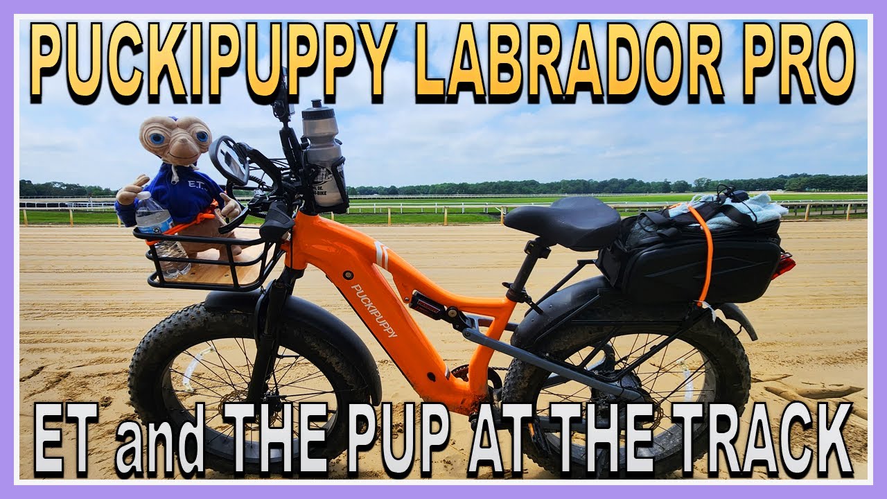 The Puckipuppy Labrador Pro LOVES Horse Country! 🙂 Get out and Live ...