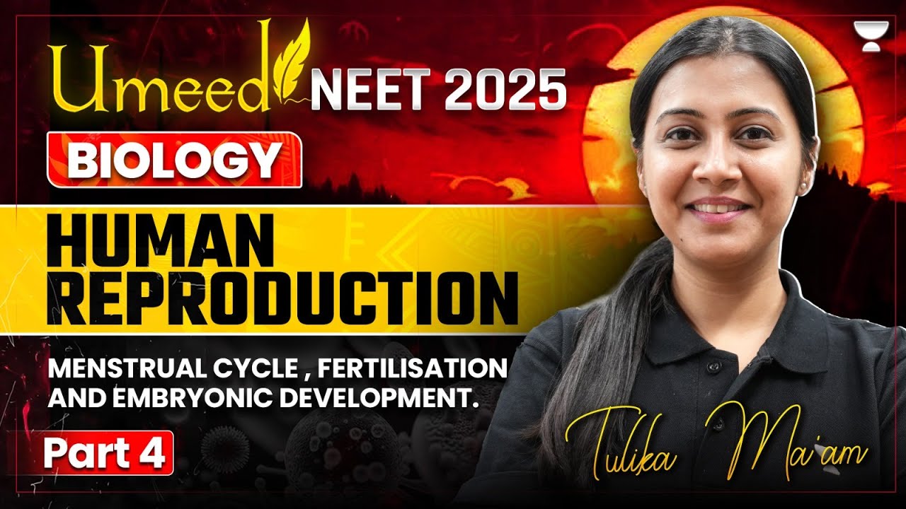 NEET 2025: Human Reproduction | Menstrual Cycle Fertilisation & Embryonic Development | Tulika ...