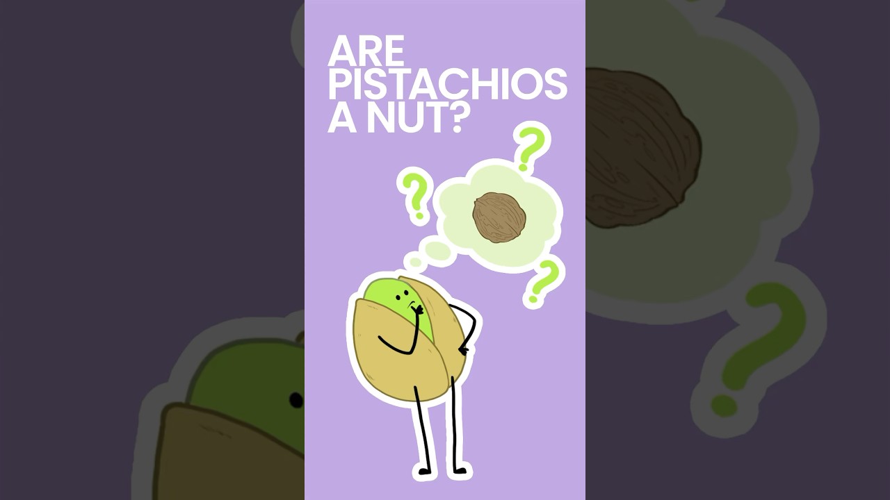 Pistachio Quotes 30 Self Care Quotes That Inspire Us Take Care Of