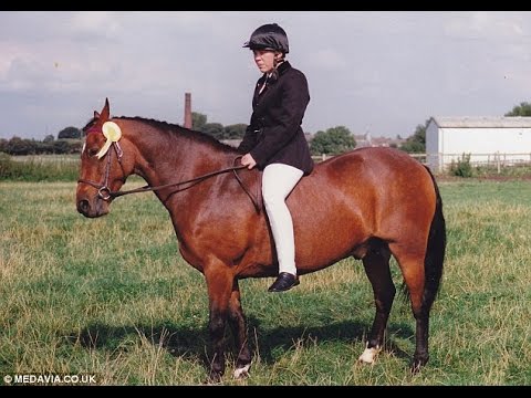 Woman too heavy to ride her horse sheds TWO-THIRDS her body weight ...