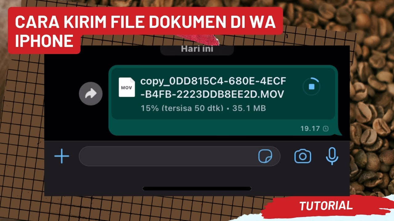 Cara kirim File Dokumen di IPhone | WhatsApp - YouTube