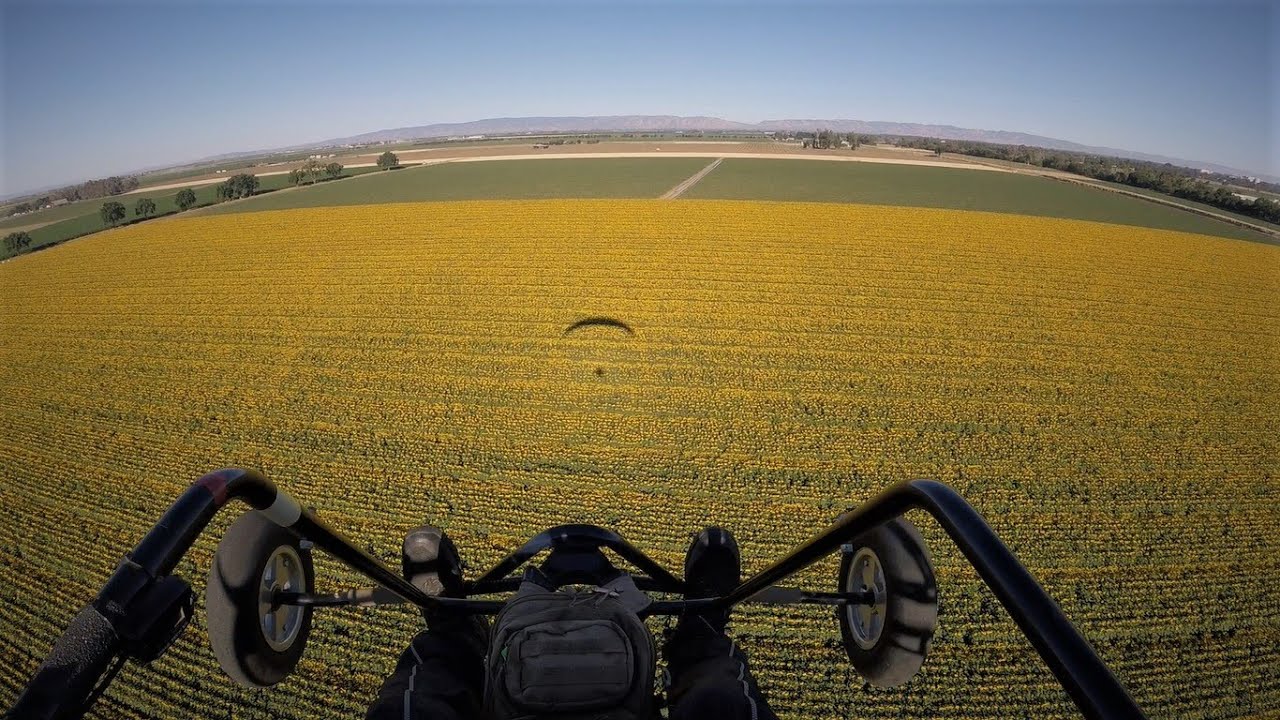 Recliner PPG: Sunflower Surfing - YouTube