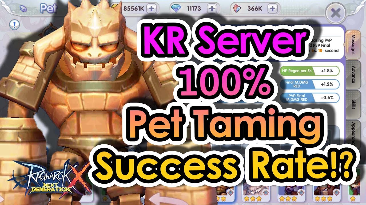 [ROX] Pet System in Korea Server Is Better! And Here's Why | KingSpade - YouTube