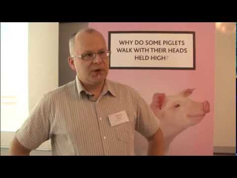 Farrowing conditions & piglet vitality at birth - 5th International LEVUCELL® SB technical meeting