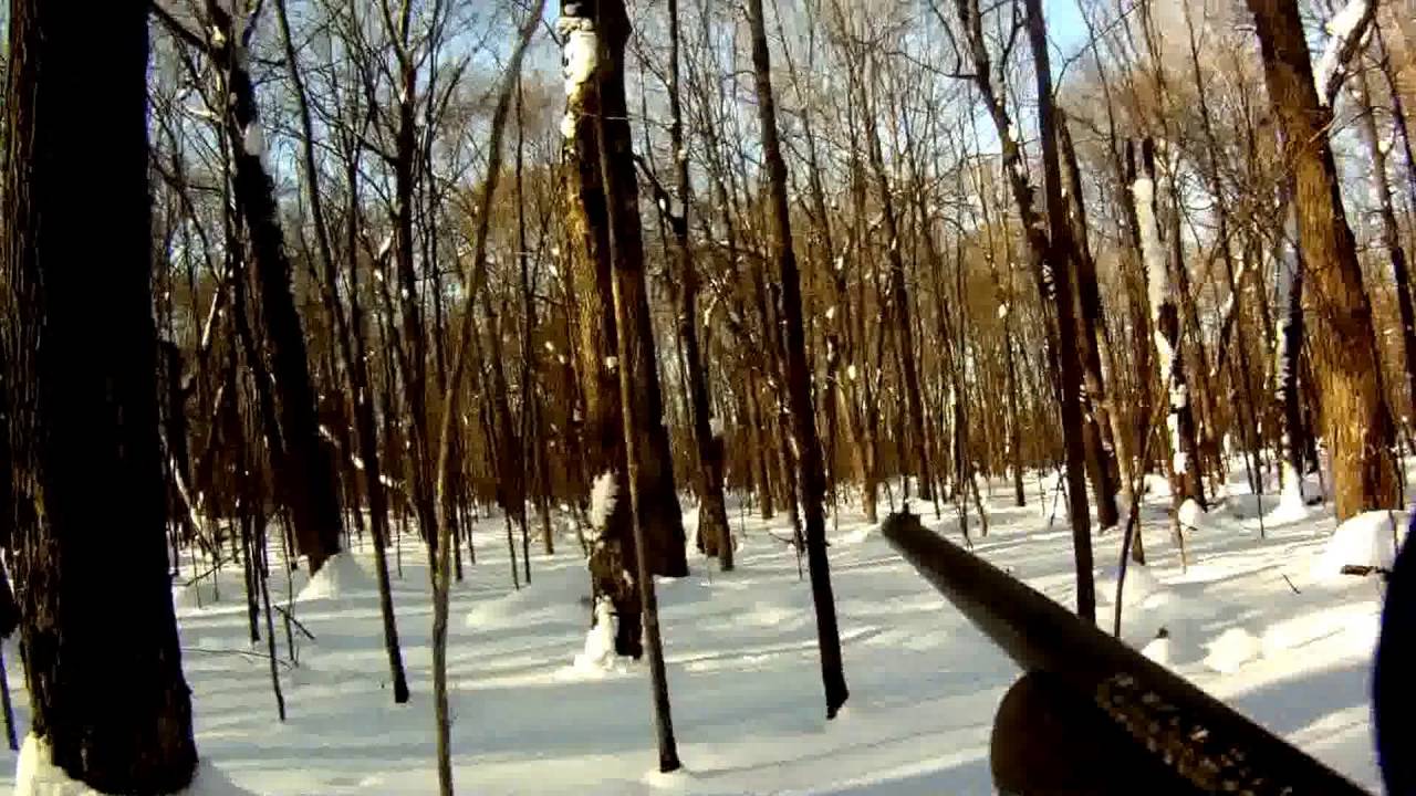 winter squirrel hunting - YouTube