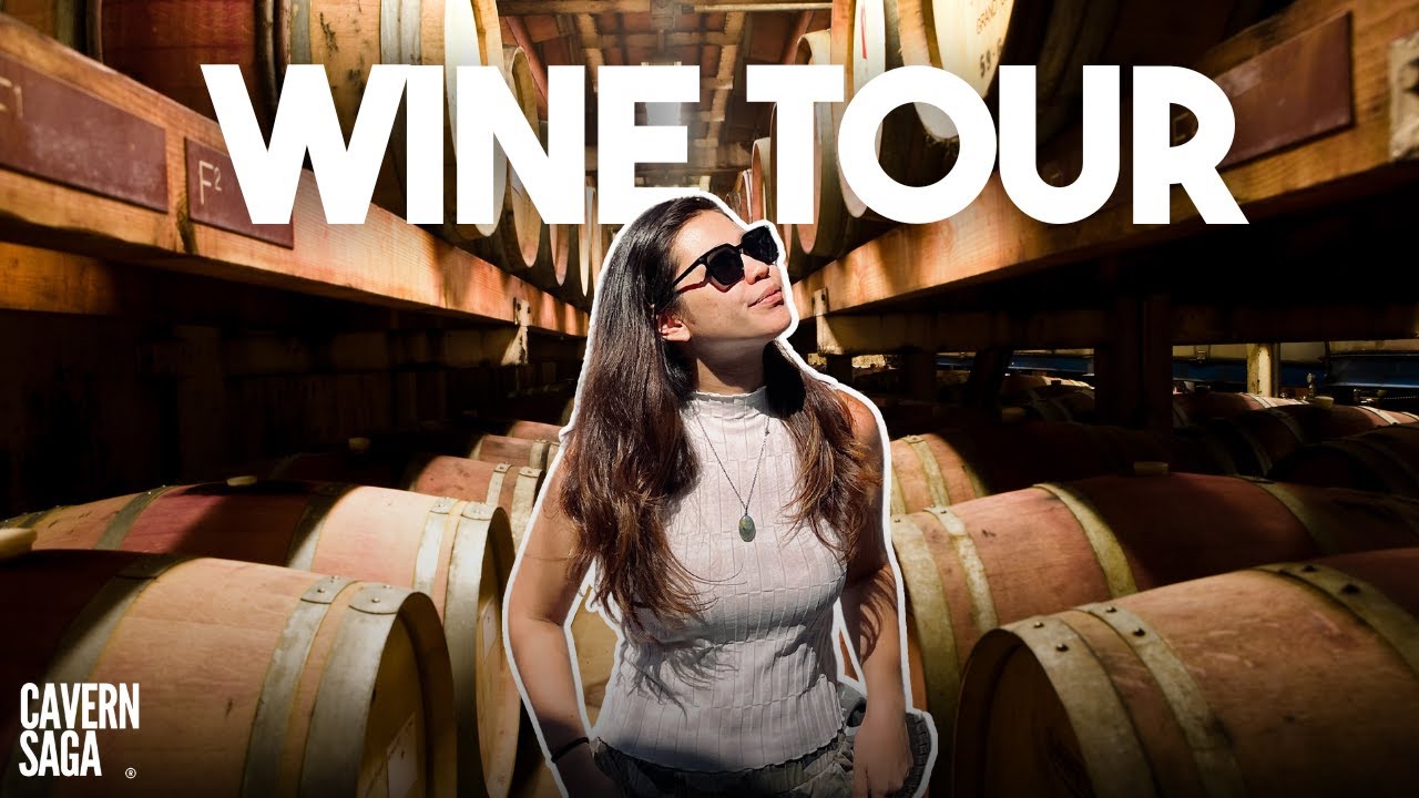 Tour of Bodega Lopez Mendoza's Winemaking Process - YouTube
